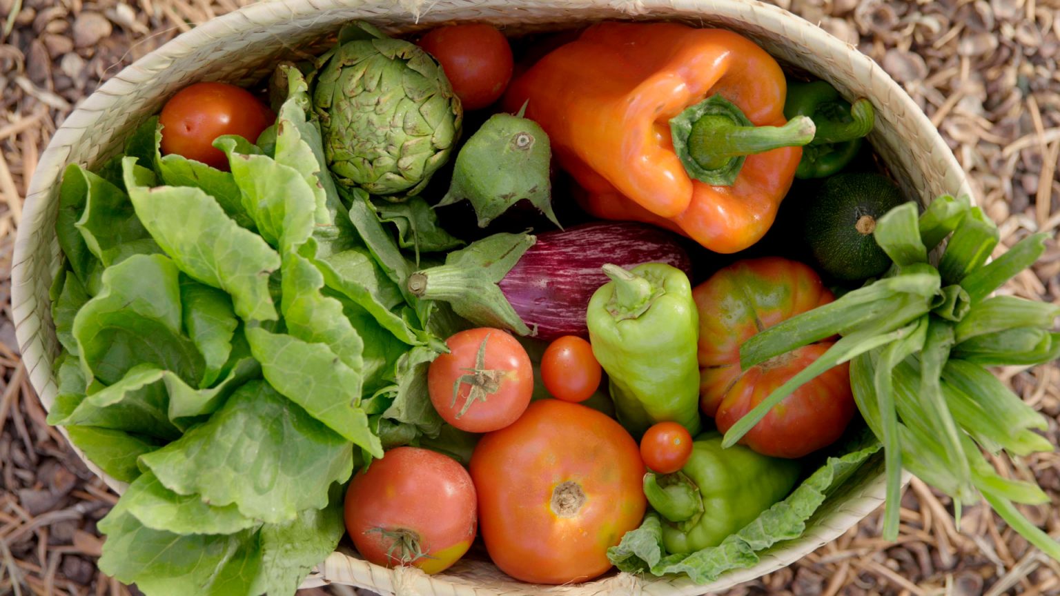 Agromart: Best Quality and Gourmet Products on Mallorca