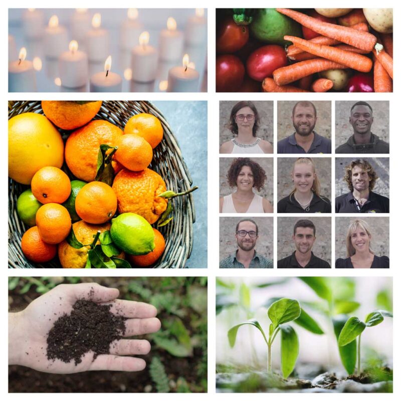 Tenth anniversary of Agromart – Agromart