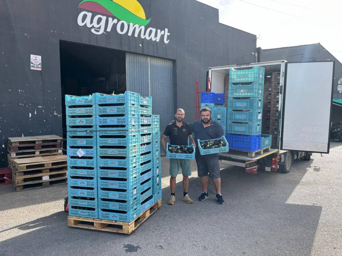 Agromart collaborates with the Barceló Foundation – Agromart