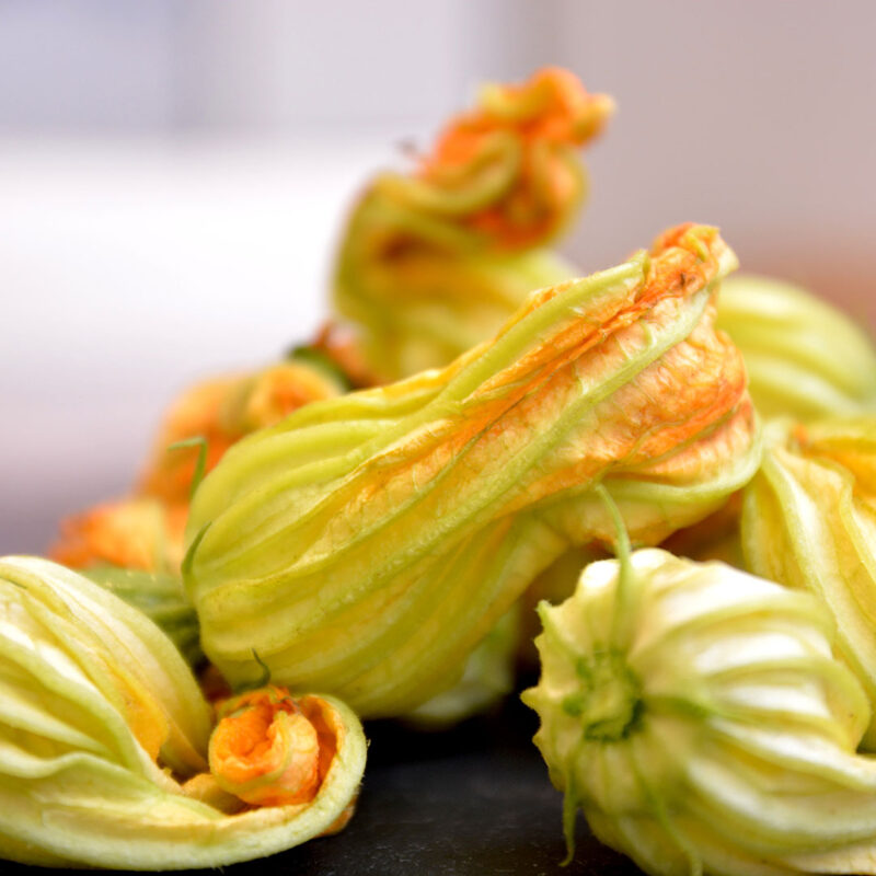 Recetas con flor de calabacín: deliciosas y versátiles – Agromart