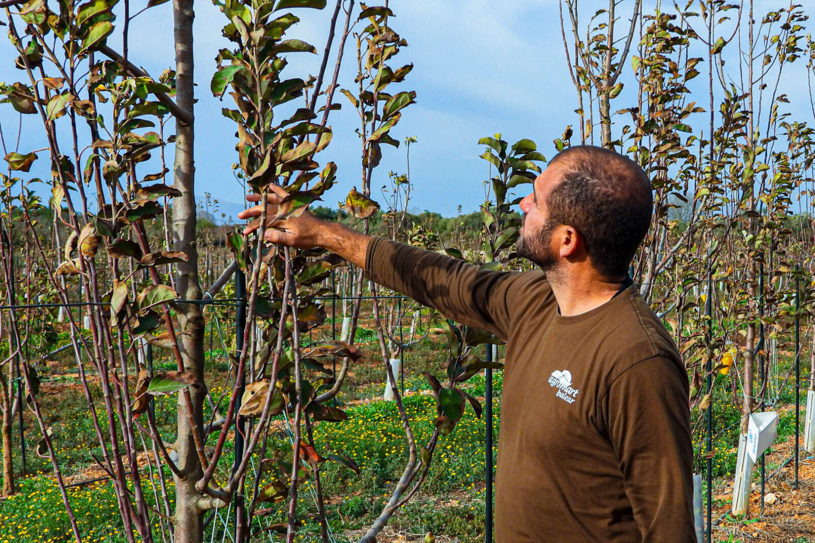 We planted 4,000 fruit trees of local varieties – Agromart