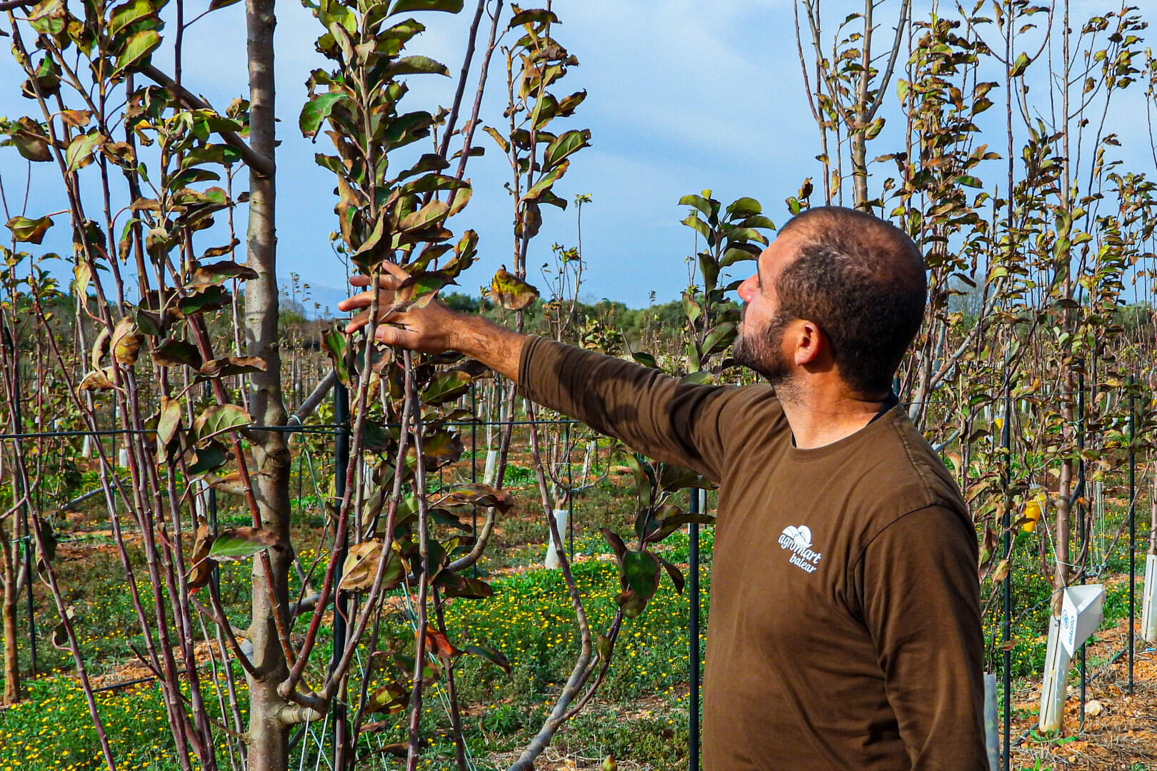 We planted 4,000 fruit trees of local varieties – Agromart