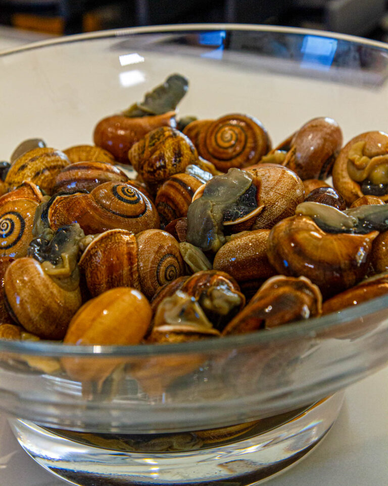 Snails in Sauce: Mallorca Tradition for San Marcos – Agromart